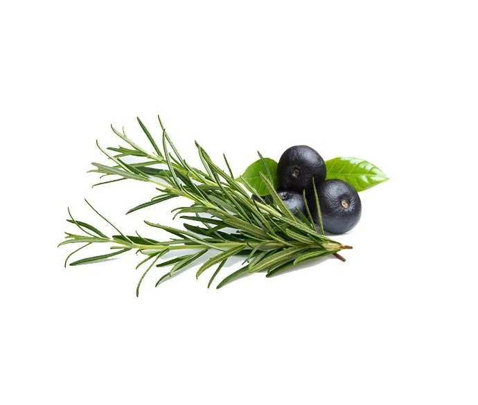 ROSEMARY & ACAI BERRY